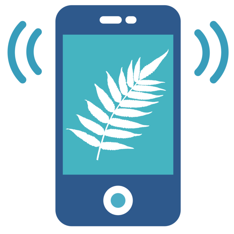 About Us – Fernside